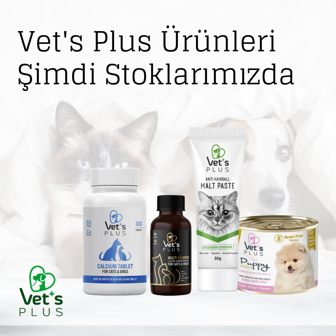 Dali's Pet - Kedi ve Köpek Künyeleri